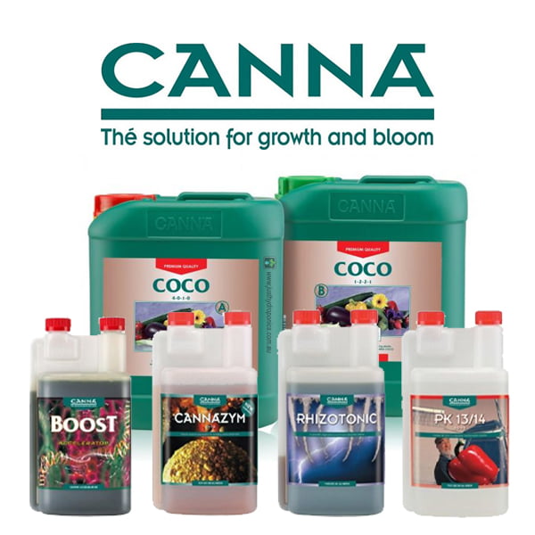 Discover the Power of Canna for Your Garden – Good Grow USA